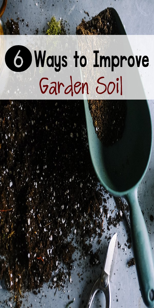6 Ways To Improve Garden Soil Organic Gardening
